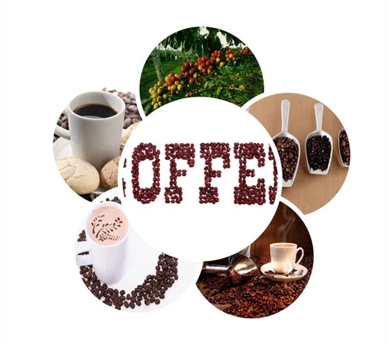 스테인리스 작은 가정 커피 콩 굽기 기계 드럼 커피 로스터 Buy 전기 커피 로스터 커피 콩 로스터스마트 커피 로스터 Product On