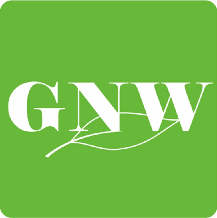 Company Overview - GNW Technology Co., Ltd.