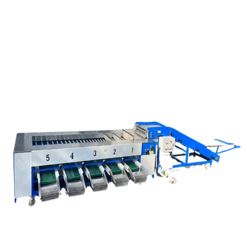 Automatic Carrot Grading Size And Cleaning Machine Carrot Washing ...