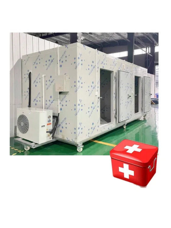 Customized Medical Cold Storage Room Commercial Frequency Conversion ...