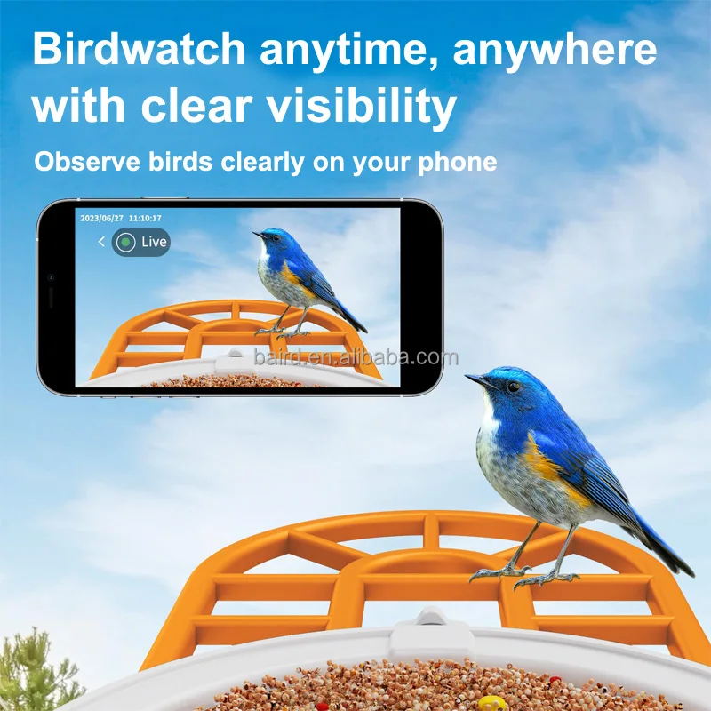 New 2MP Smart Hummingbird Feeder with Camera Auto Capture Bird Videos ...