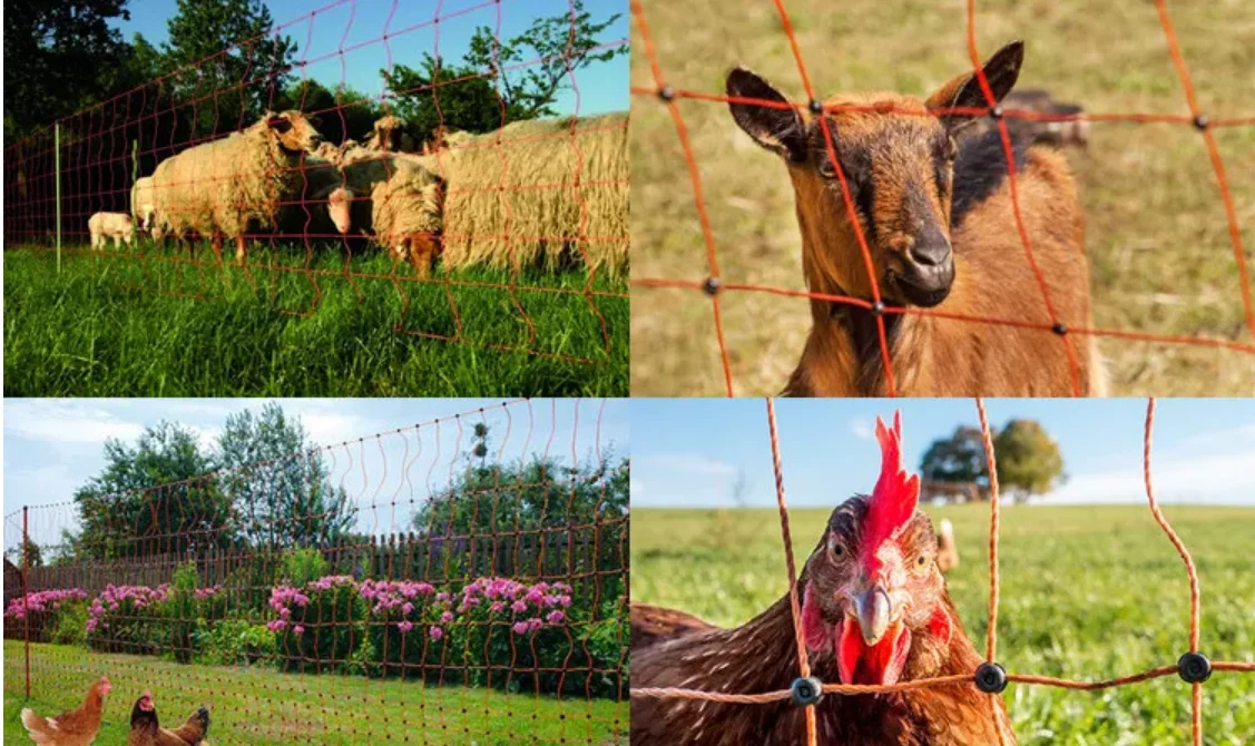 Poultry Sheep Farm Netting Electric Wire Fences Chicken Garden Electric ...