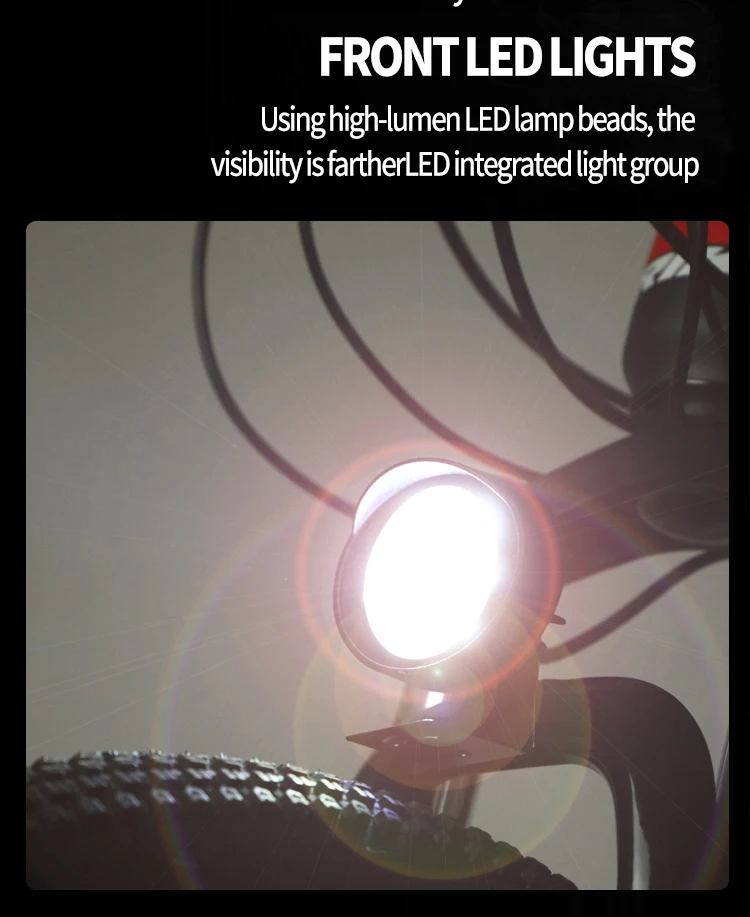 FRIKE Electric Bike - High-Quality 36V8A250W E-Mountain Bike