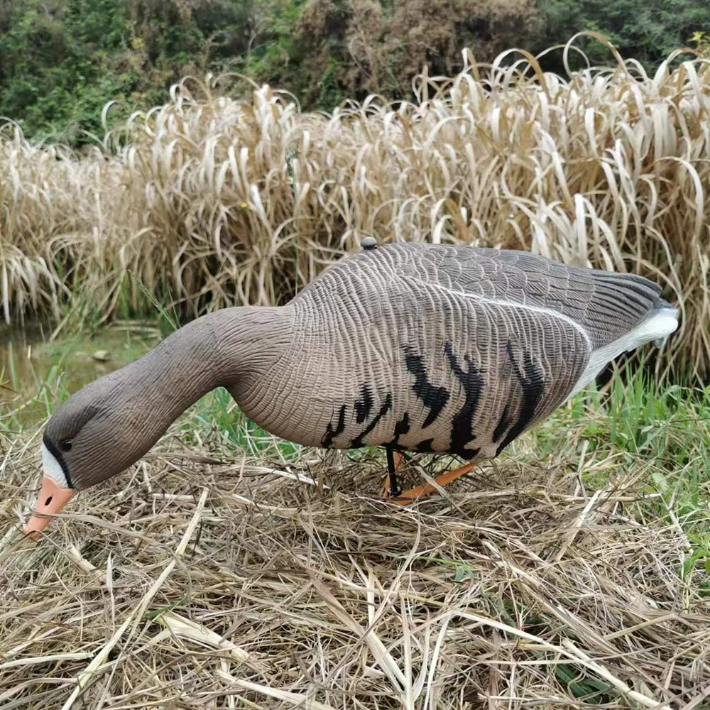 EVA Hunting Specklebelly Goose Decoys Spotted Goose Decoys for Wild ...