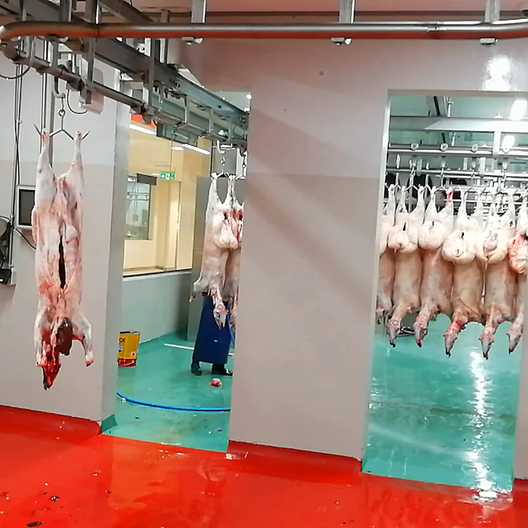 Halal Goat Slaughterhouse - Efficient & Hygienic Equipment