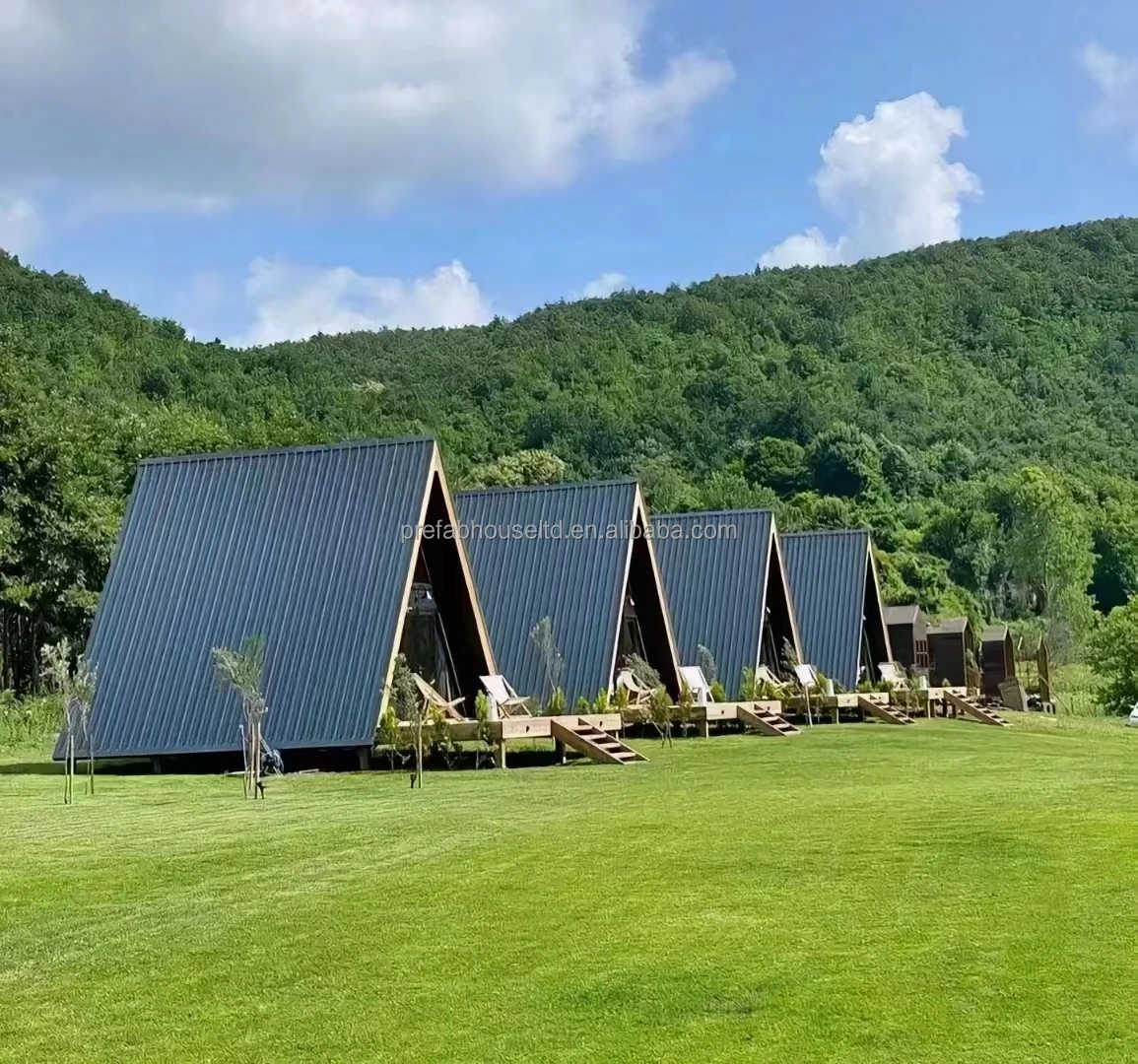 Luxury Prefabricated Houses - Portable Triangle Roof Design
