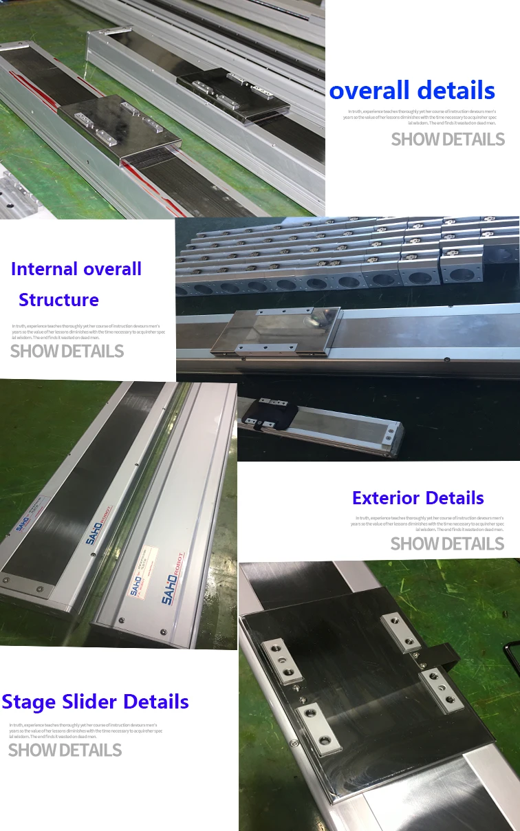 High Precision Ball Screw Linear Actuator Linear Slide Module Sch100 Single Axis Robot For ...