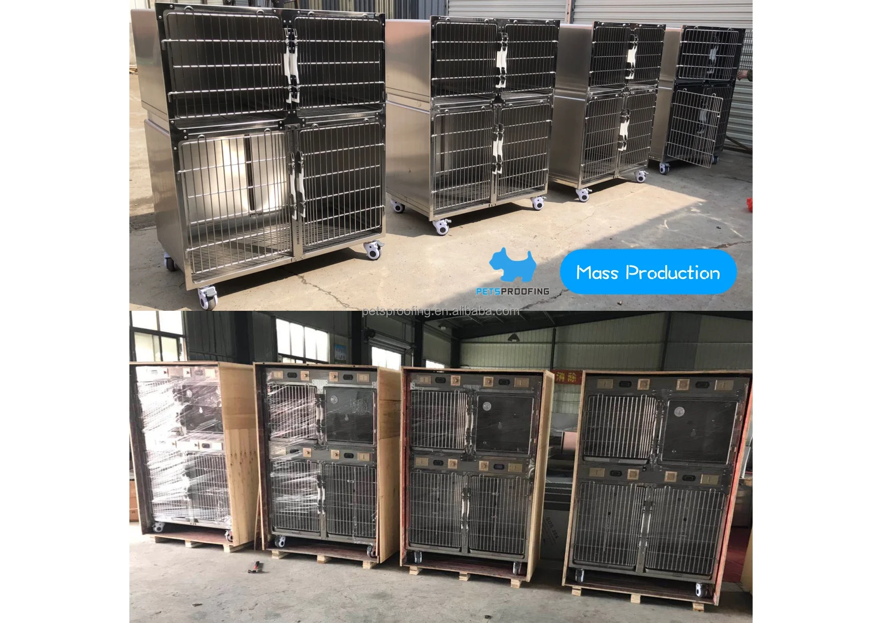 Luxury Stainless Steel ICU Unit for Dogs - High-End Medical Canine Cage ...
