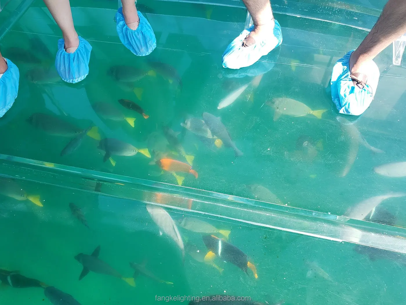 Fangeke Best Seller Big Clear Boat Transparent And Glass Bottom Boat To ...