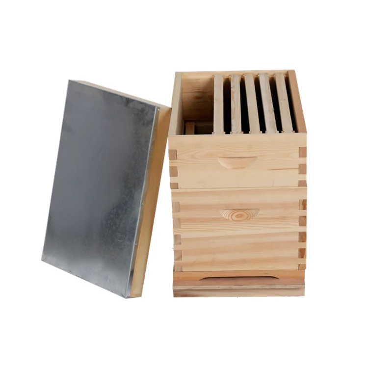 8 Frames Pine Wood Langstroth Beehive For Beginner Honey Bee Hives With ...