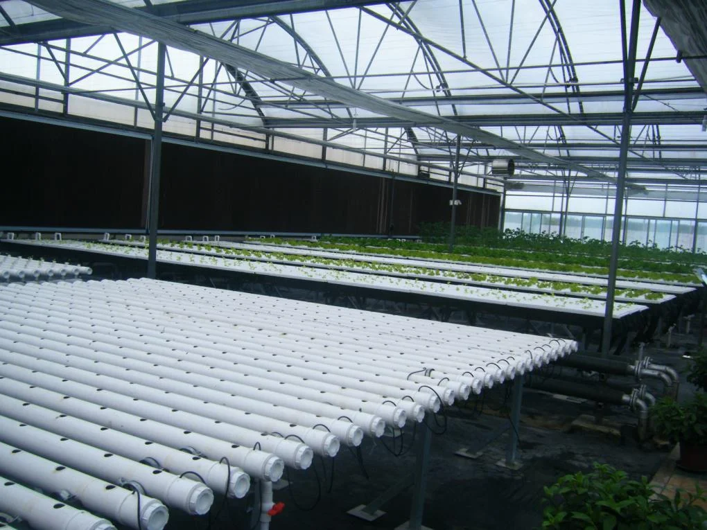 Hydroponic Greenhouse Tower - Efficient Indoor Growing