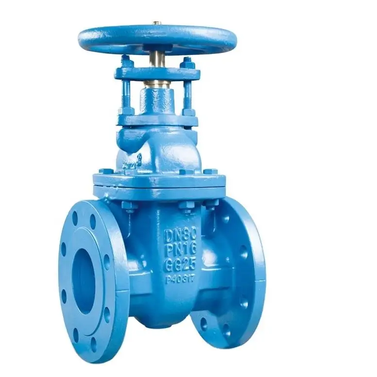 DIN 3204 F4/F5 Cast Iron Gate Valve - Manual Power for Water