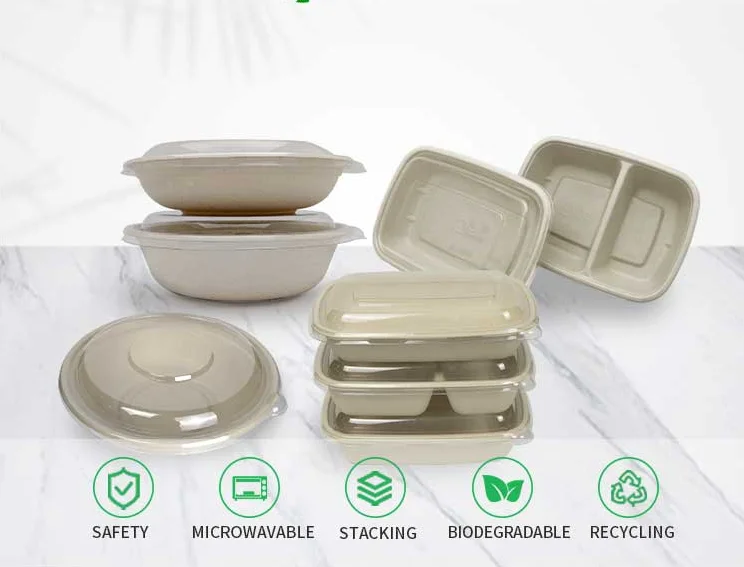 Recycled Food Container Sugarcane Bento BOX Square Environmental ...