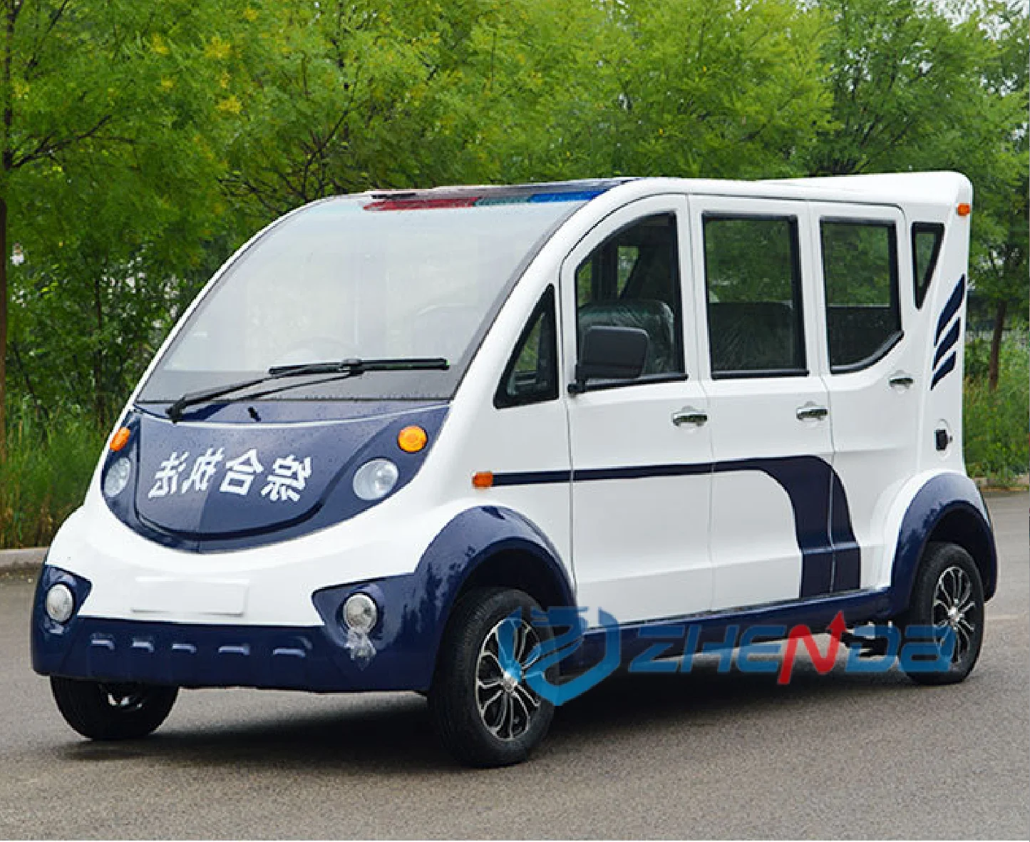 Customized Electric Golf Cart - Perfect for Wedding Events