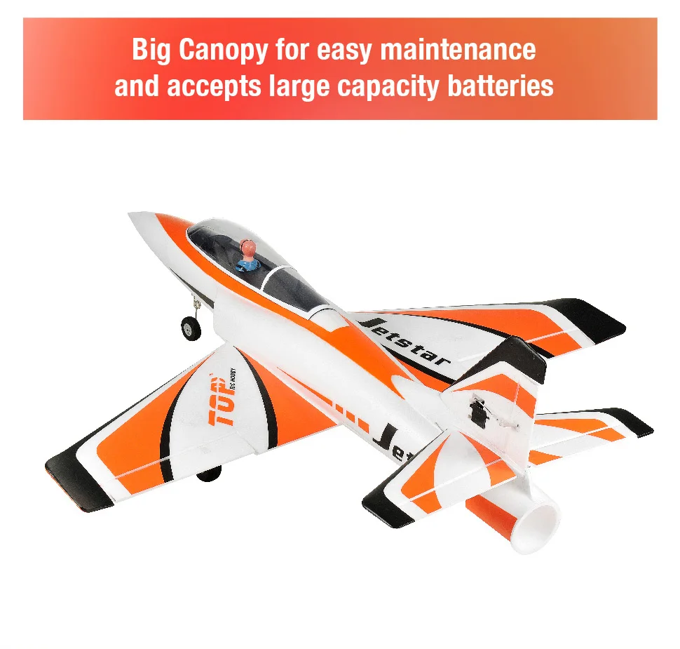 TOP Jet Engine Ducted Fan RC Plane F22 HOBBY 800MM Scale