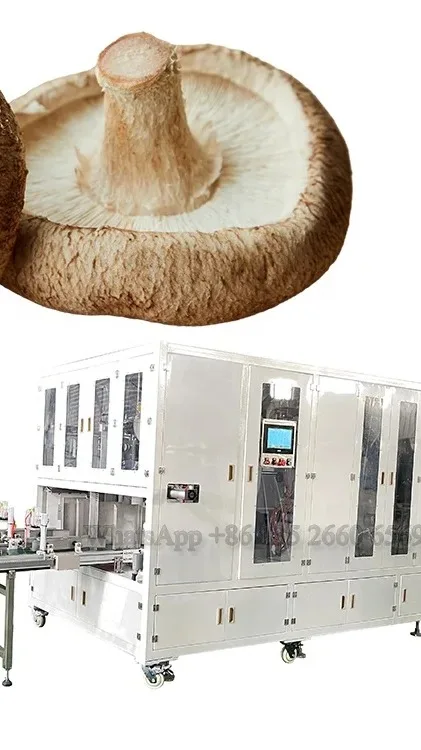 Edible Fungus Compost Bag Filling Binding Machine Lions Mane Mushroom ...