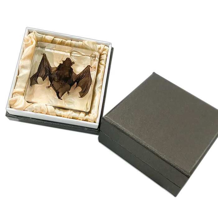 Custom Bat Specimen Unique Crystal Specimen Resin Real Embedded In ...