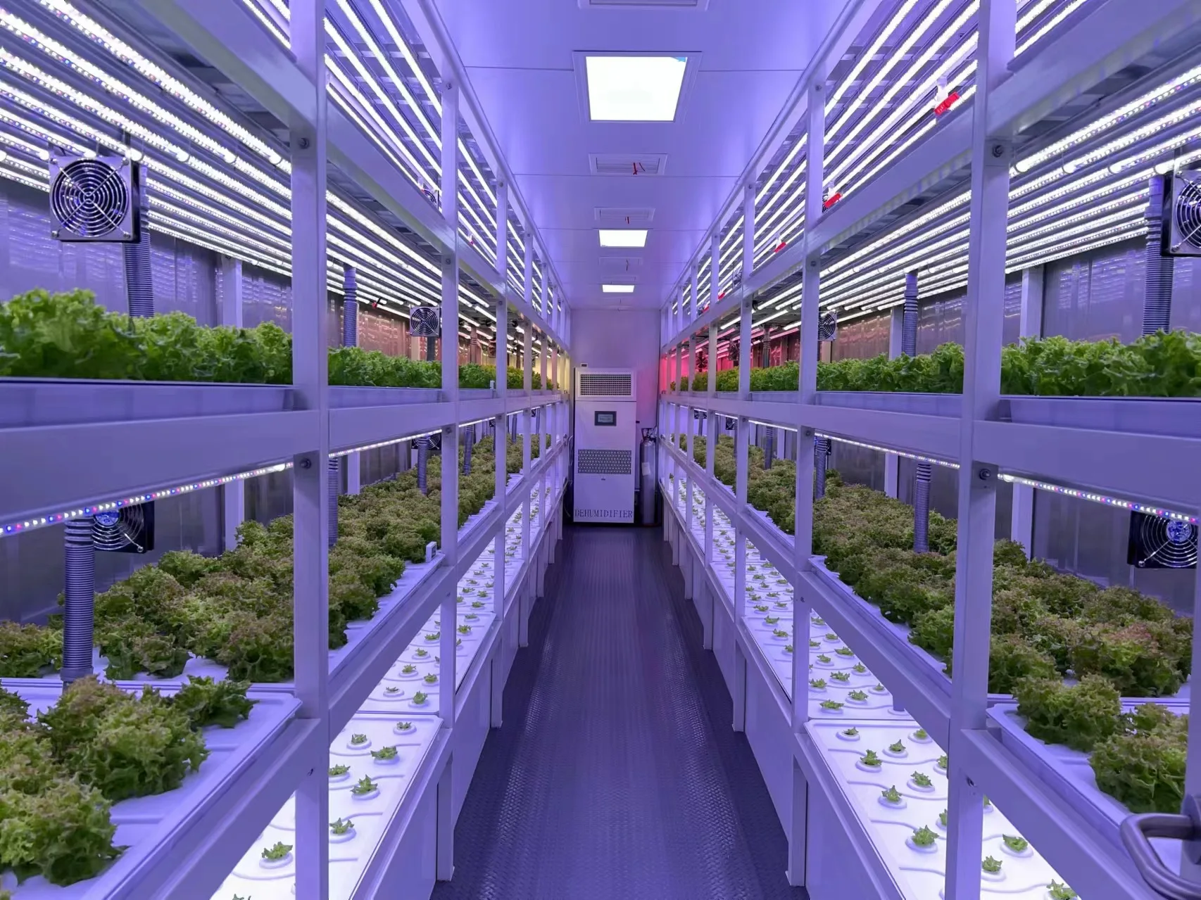 Smart Farm Container Greenhouse - Efficient Vertical Farming