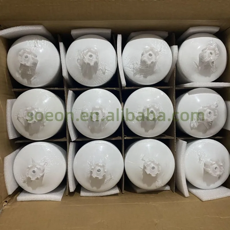Good Quality Diesel Fuel Water Separator Fs1013 Fuel Filter Element For ...