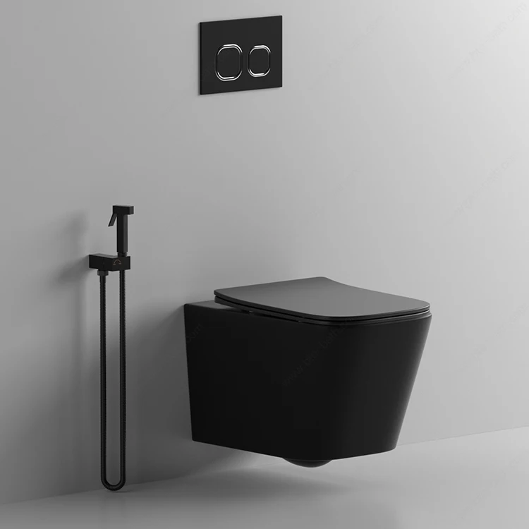 Bto Wallhung Toilet Concealed Tank Matte Black Color Luxury P-trap ...