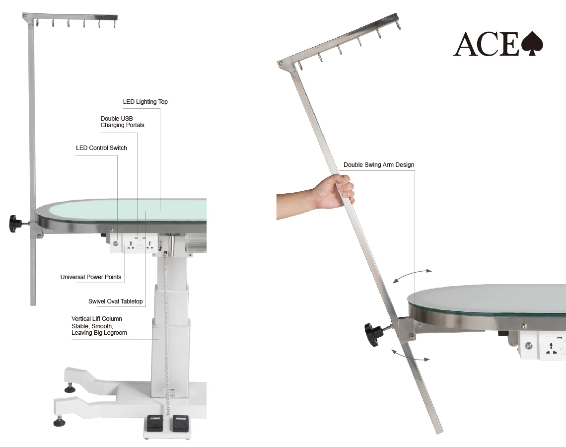 Aeolus Ace Deluxe Grooming Table With Led Light - Buy Veterinary ...