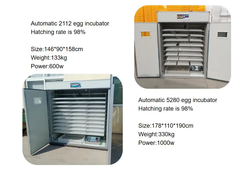 Micro-computer Duck Eggs Incubator Poultry Hatching Machine For Sale In ...