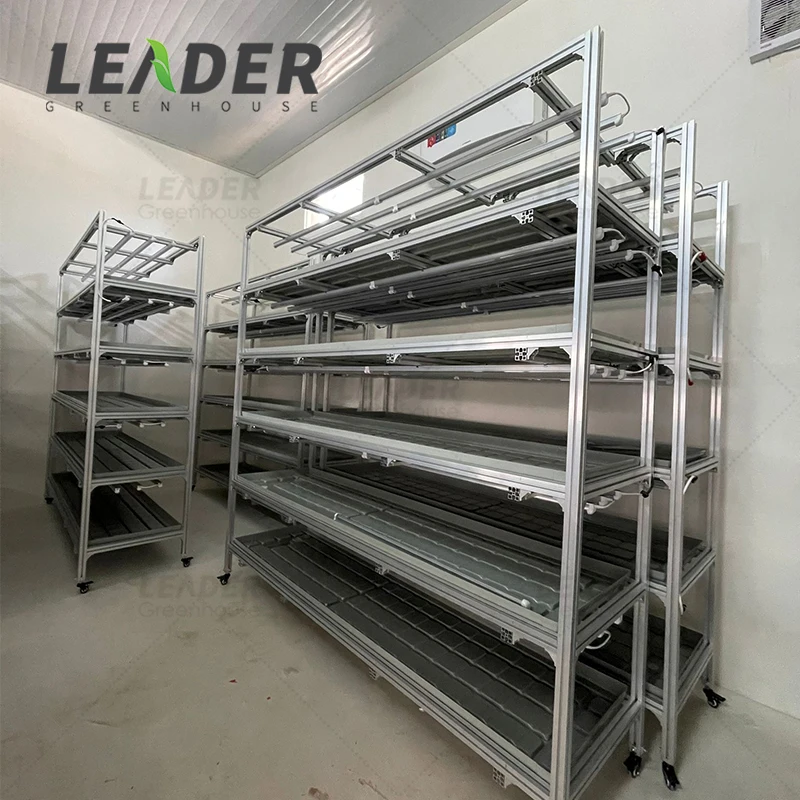 Customized Hydroponic Shelves for Efficient Nursery Planting