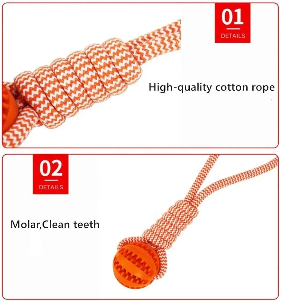 2023 Hot Sale Dog Chew Tooth Cleaning Toy Tpr Dog Toy Ball Interactive ...