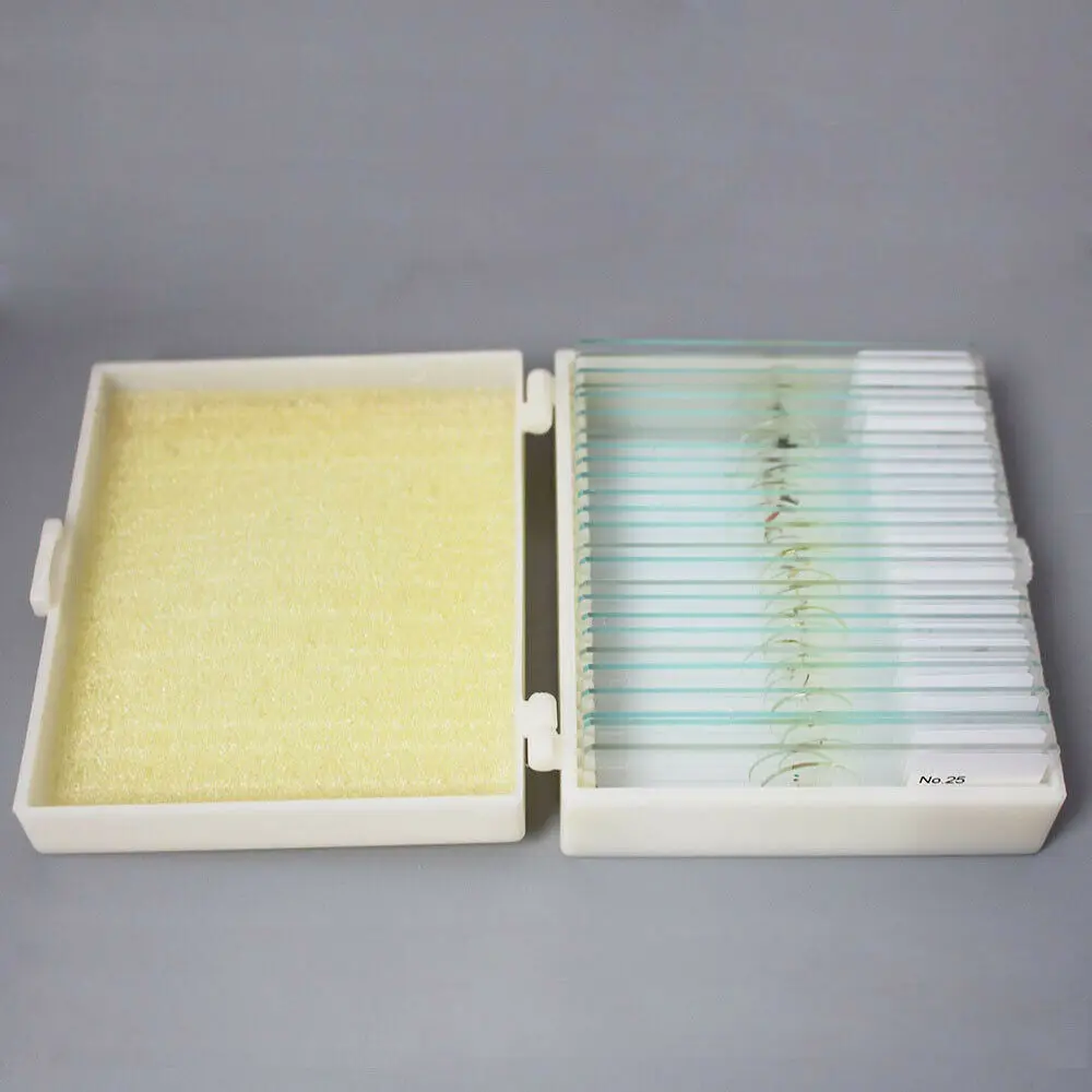 Microbiology Glass Preparation Microscope Slides With Cassettes For ...
