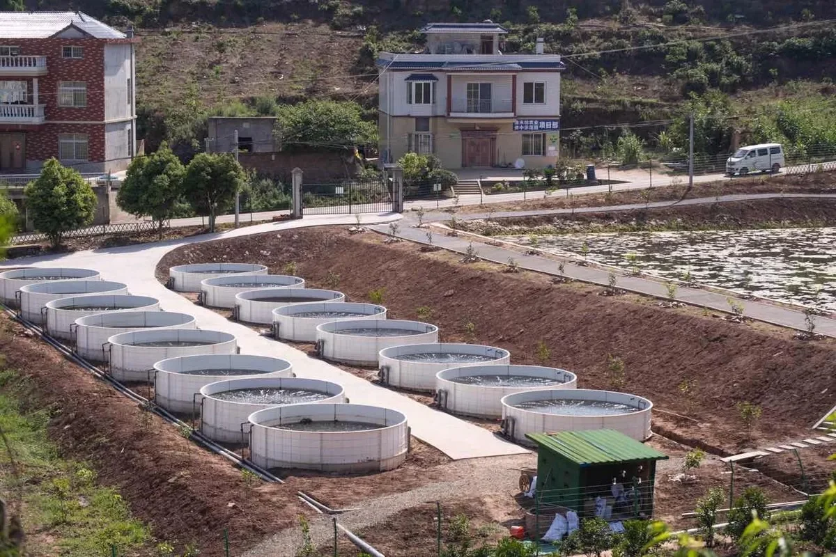 Factory Supply Customized High Strength Circular Round Fiberglass FRP ...