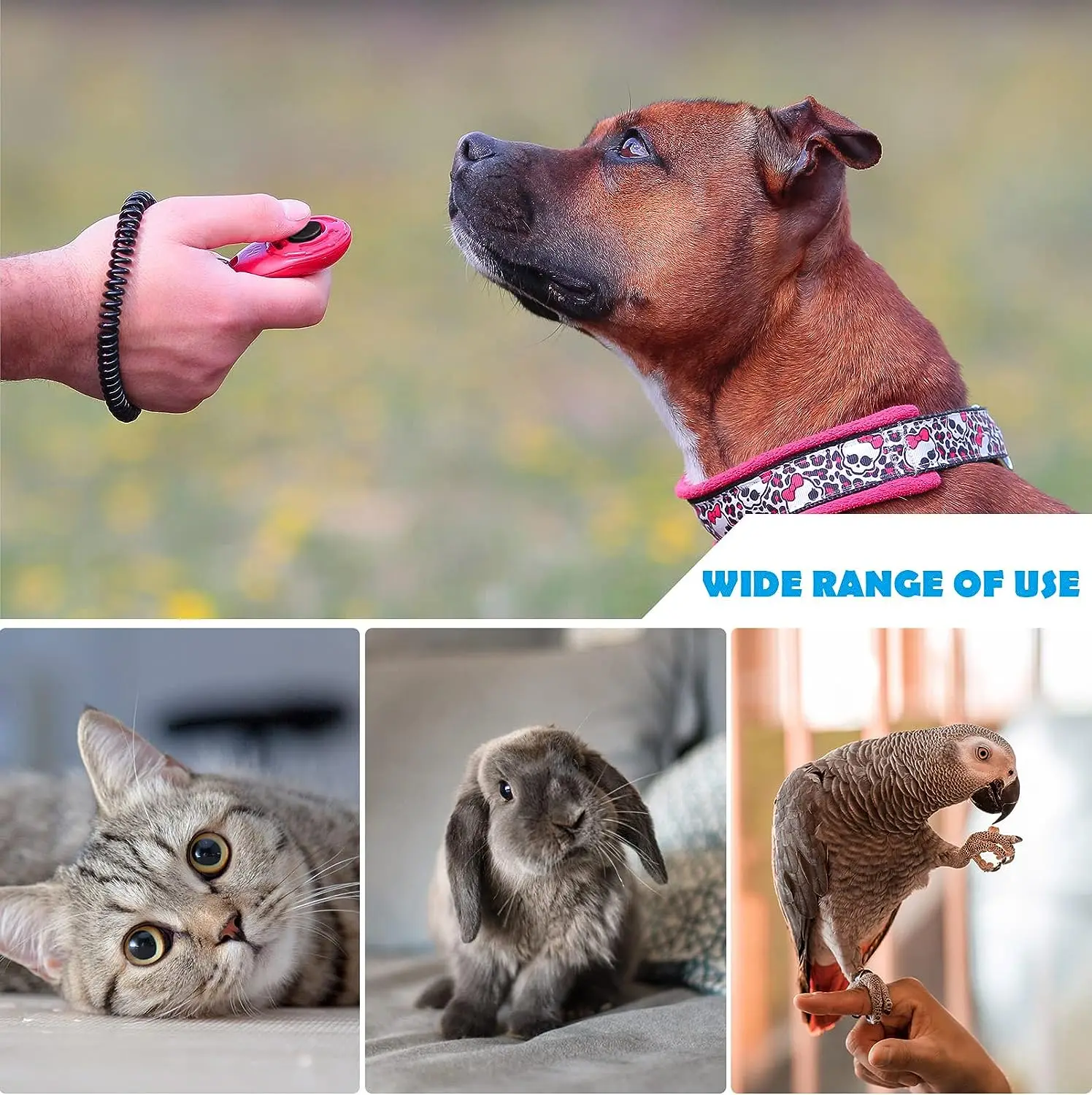 Customized Logo Pet Training Dog Trainer Clicker Manual Wrist Strap ...