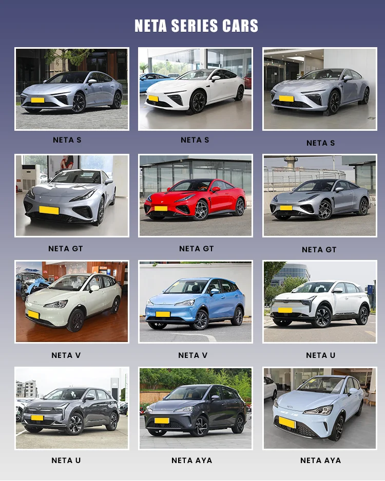 2024 Neta V New Energy Vehicles China Chao 400 Industry Edition Suv ...
