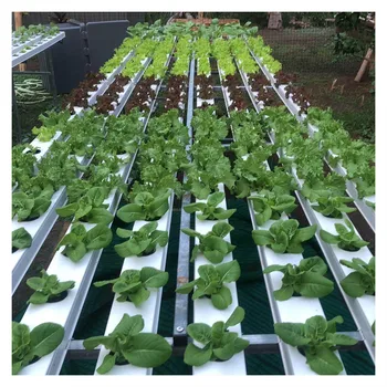 Agricultural Aeroponics Channel Garden Systems Vertical Growing Systems ...