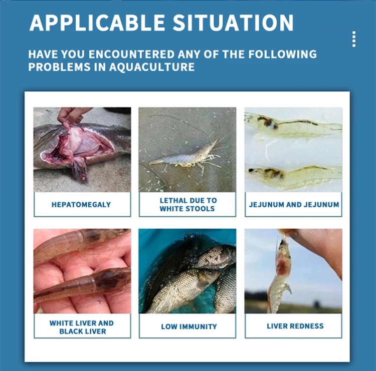 Aquaculture Bile Acid Fish,Crab,And Shrimp Improve Digestion,Growth ...