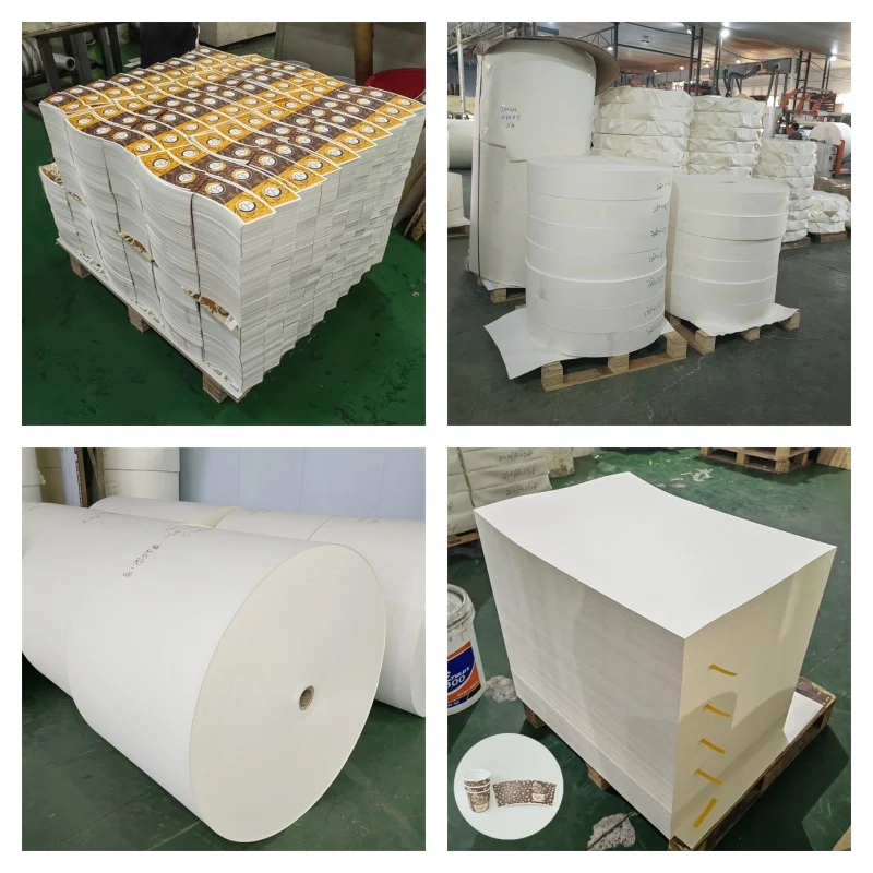 150-320gsm Pe Coated Paper Roll Bottom Paper Roll For Making 100% ...