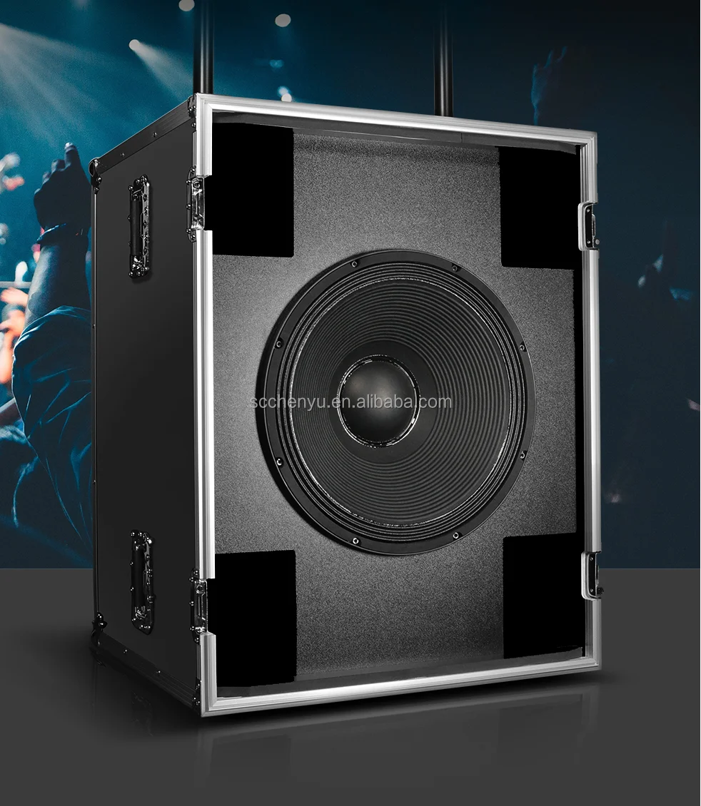 Professional Audio System - Dual 8 Inch Line Array Speakers