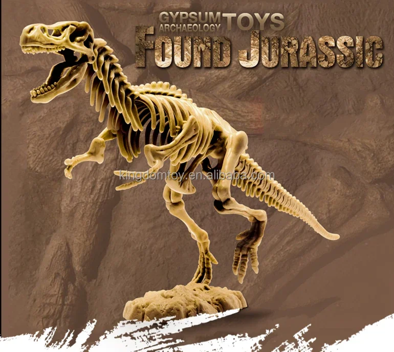 Educational Diy Excavation Kit Dinosaur Fossil Excavation Skeleton Tool ...