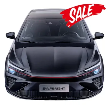 Shandong Everbright Foreign Trade Co., Ltd. - New Energy Vehicle ...