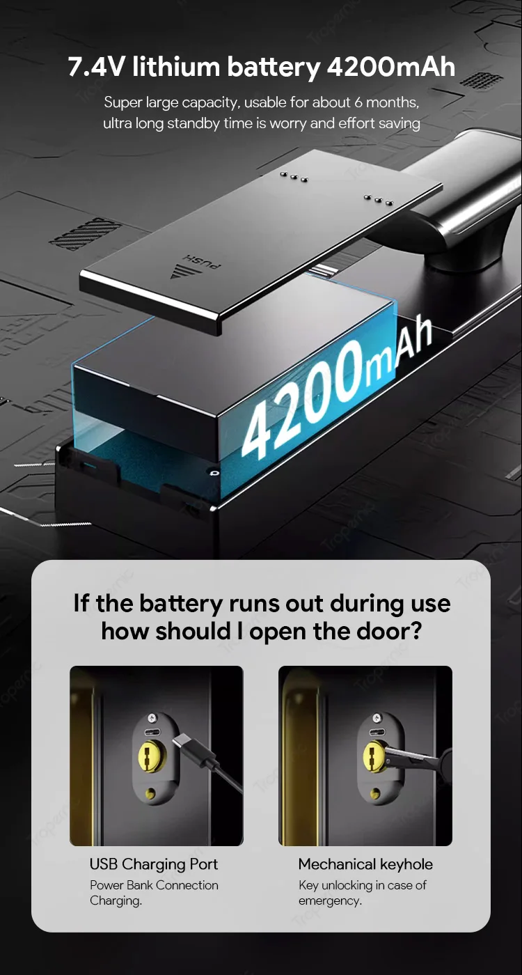 3d Face Recognition Smart Door Lock With Camera Biometric Fingerprint Cerradura Wifi Security