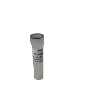 Dh5a Competent Cell For Gene Cloning Vector Construction Plasmid Dna ...