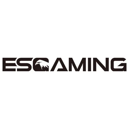 Company Overview - Esgaming (foshan) Technology Co.,ltd