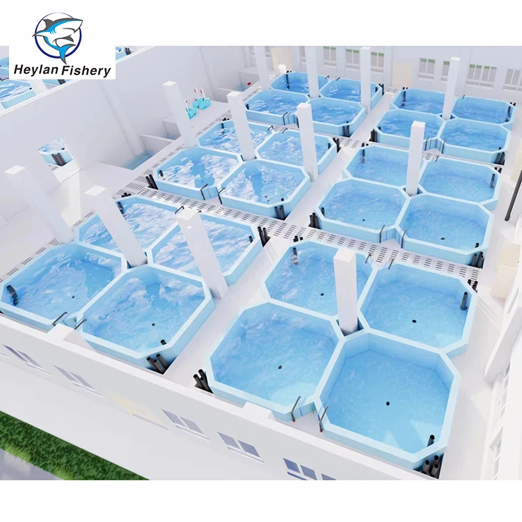 Commercial ras fish farming recirculating aquauclture system ...