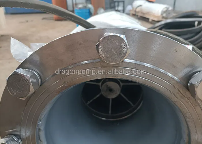 Stainless Steel Large Flow Submersible Water Pump For Sea Water - Buy ...