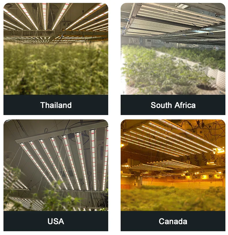 800w 900w 1000w 1500w 1800w 2000w 3000w 4000w Full Spectrum Hps Cob ...