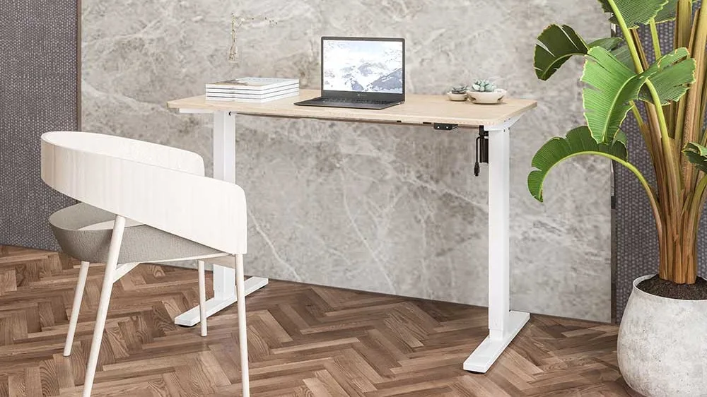 Adjustable Height Motorized Smart Office Dual Motor Standup Electric ...