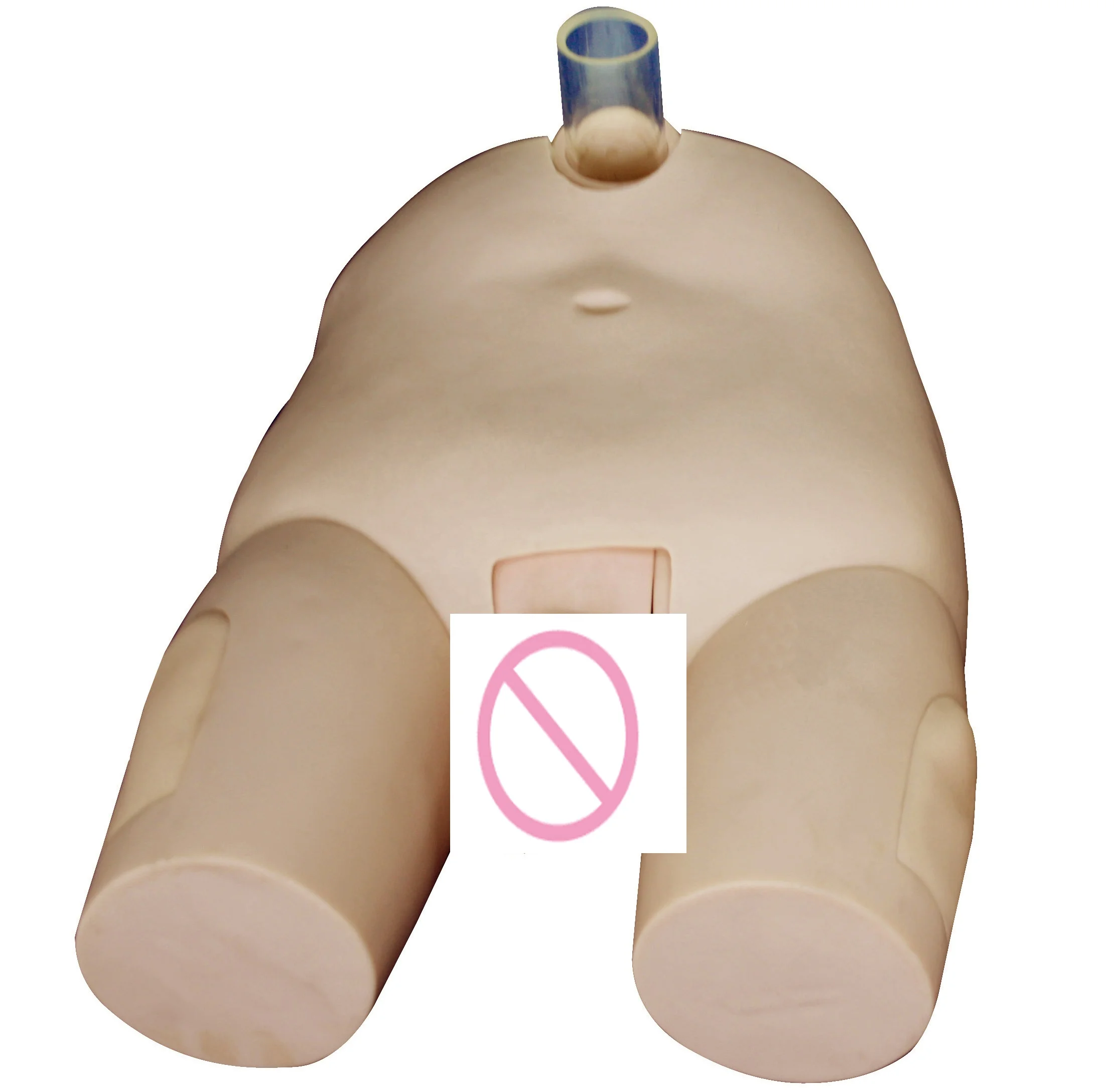 Male Female Bladder Irrigation Training Model Catheterization Skills