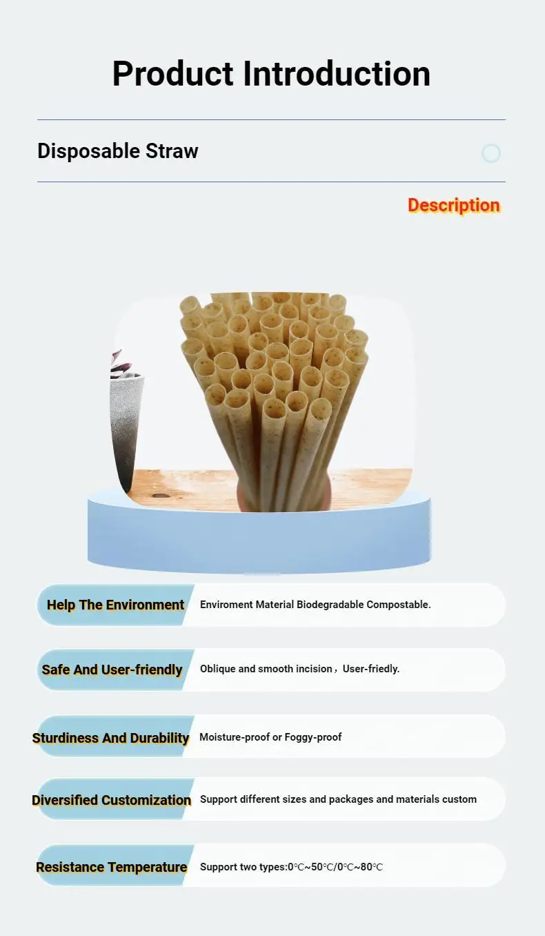 Factory Supply Individual Wrapped Sugarcane Bagasse Drinking Straw ...