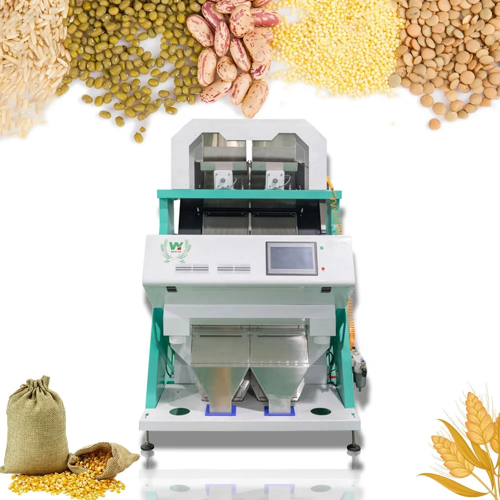 Stable Quality 2024 Model Pumpkin Seed Millet Seed Color Sorting ...
