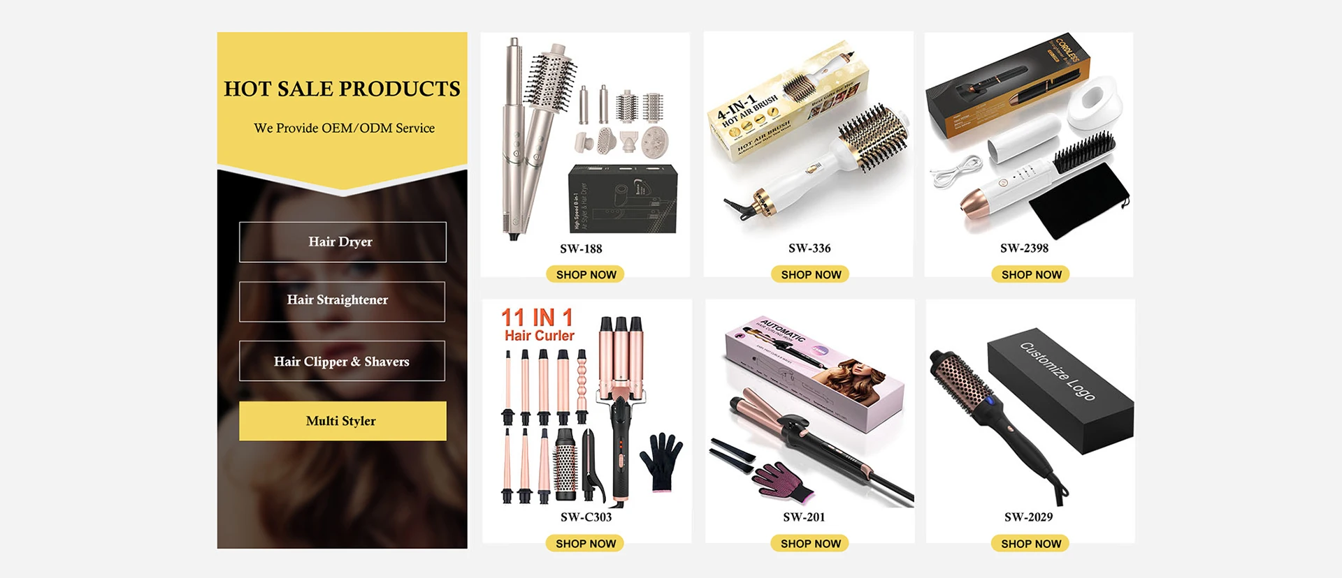 Company Overview - Guangzhou Sway Technology Co., Ltd.