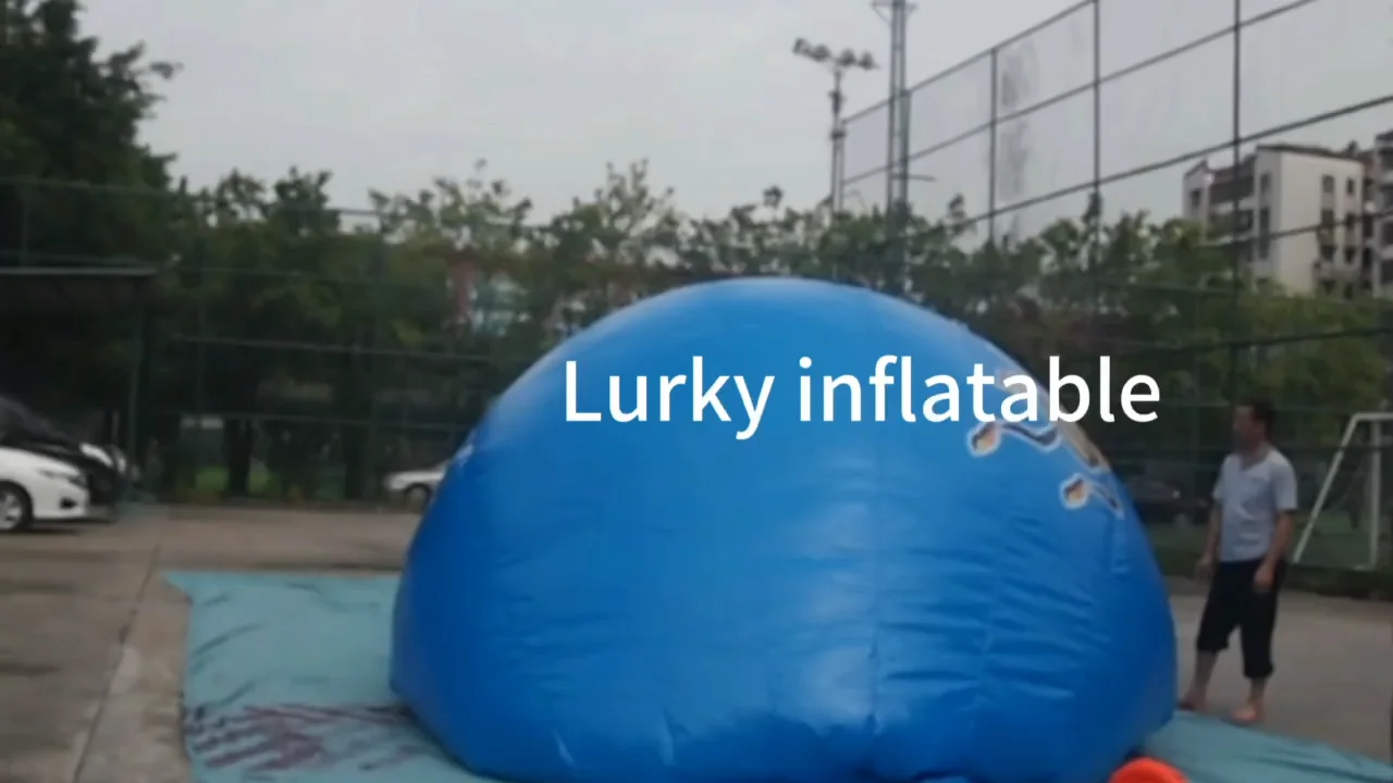 Commercial Customized Pvc Inflatable Lighted Cold Air Balloon ...